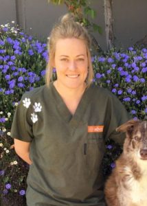 Cassie - Bathurst Central Animal Hospital