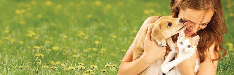 Bathurst Central Animal Hospital - 90 Rankin Street, Bathurst